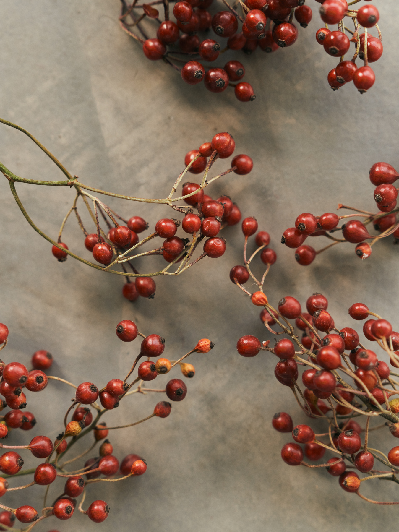 FilMelange 2023AF Look｜NEWS｜TIGER'S BROTHERS タイガース・ブラザース本店